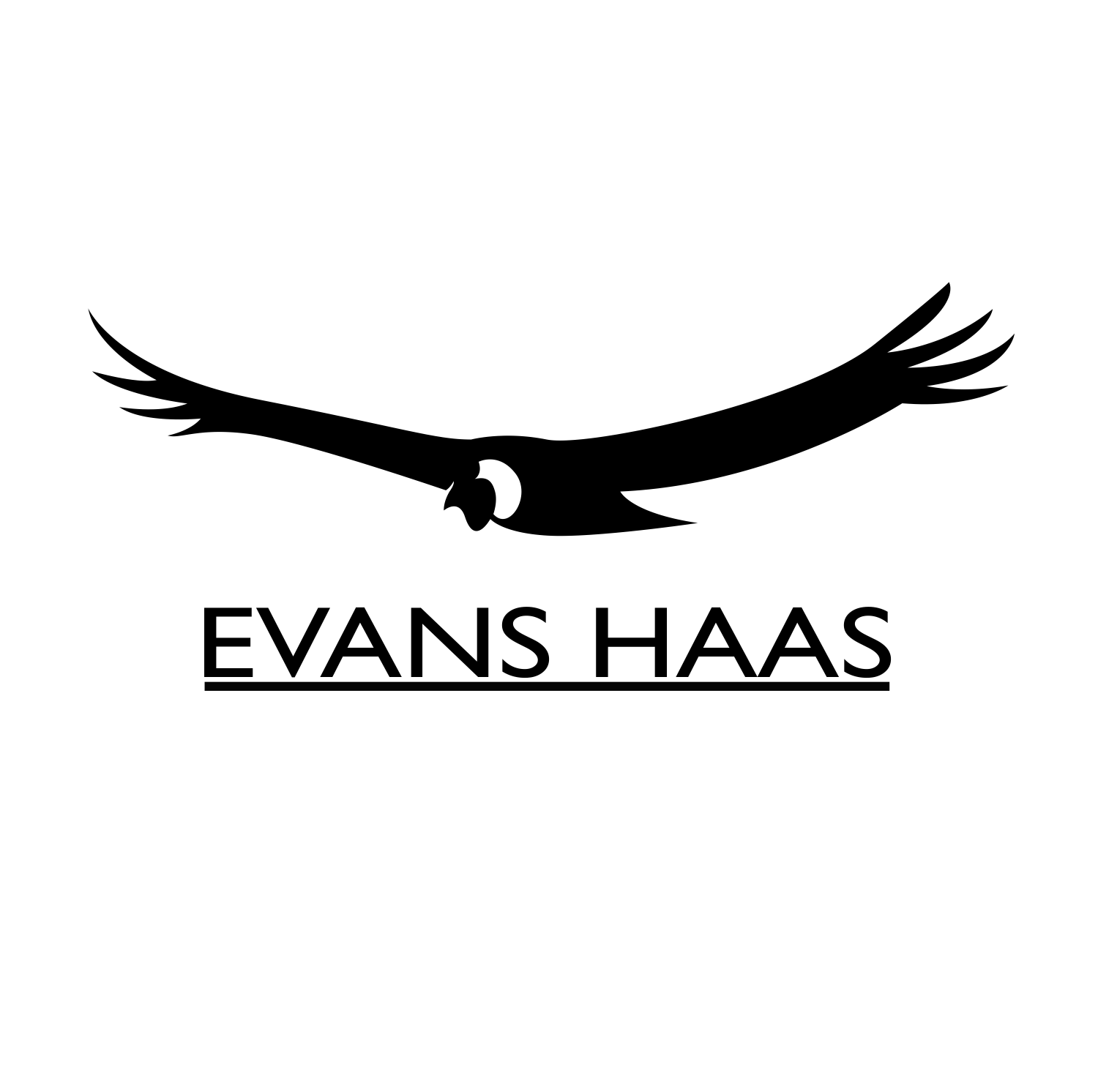 Evans Haas – Trade and develop